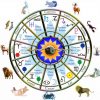 The 12 Rashi-Astrological Signs - Best and No. 1 Astrology Consultation ...